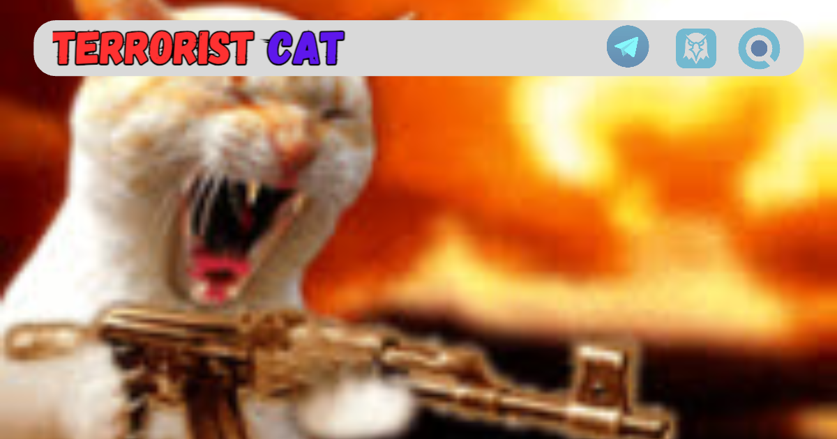 TERRORIST CAT